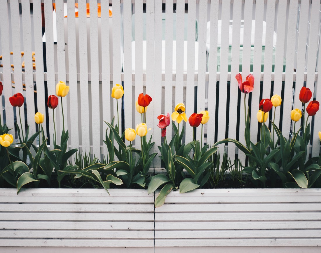 Gard decorativ gradina | Gard gradina lemn | Gard delimitare gradina ...