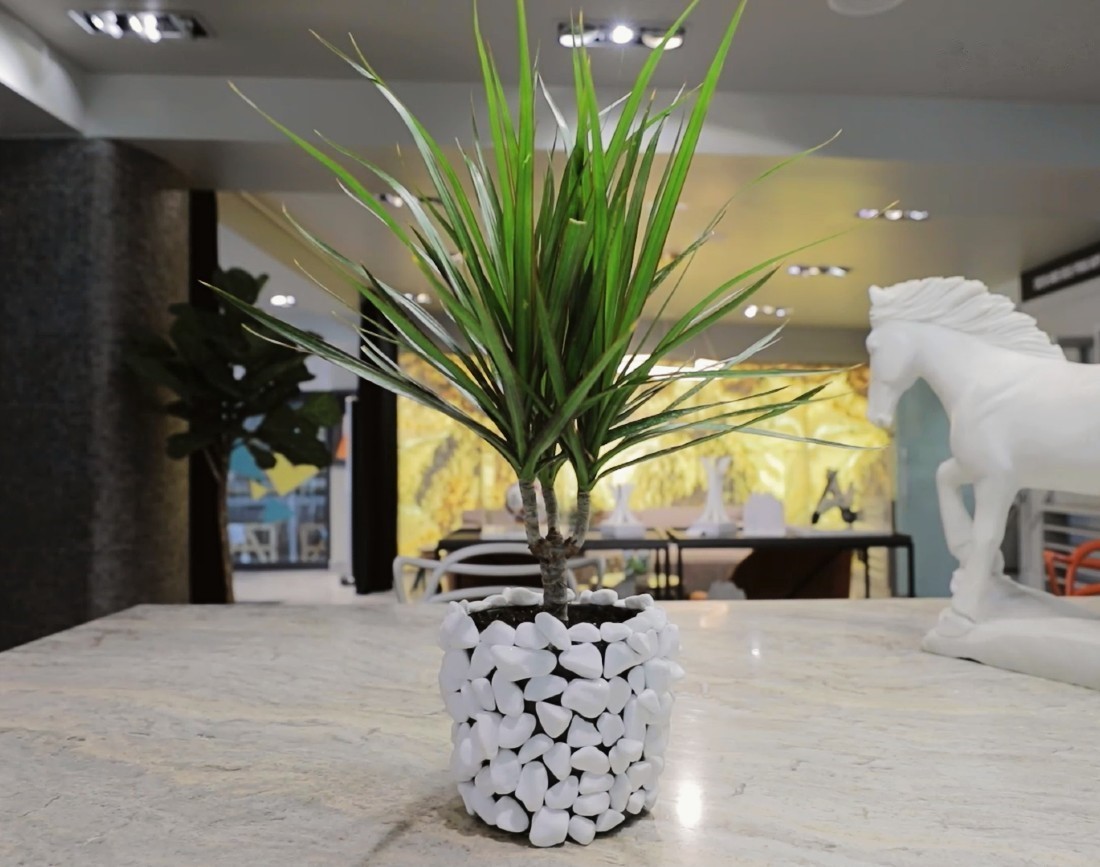 Ghiveci piatra | Ghiveci plante piatra | Fa singur ghiveci exterior ...