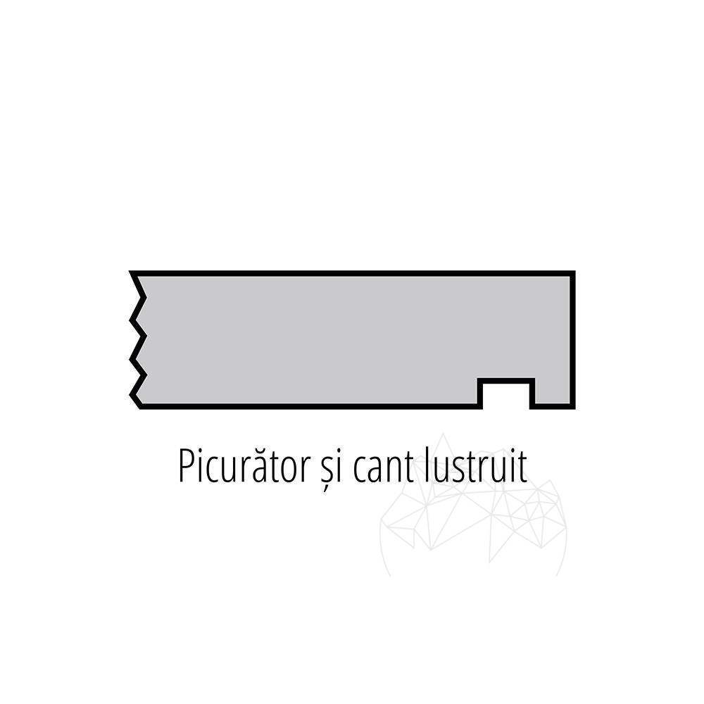 Serviciu prelucrare: Picurator 1L (Universal) - PIATRAONLINE